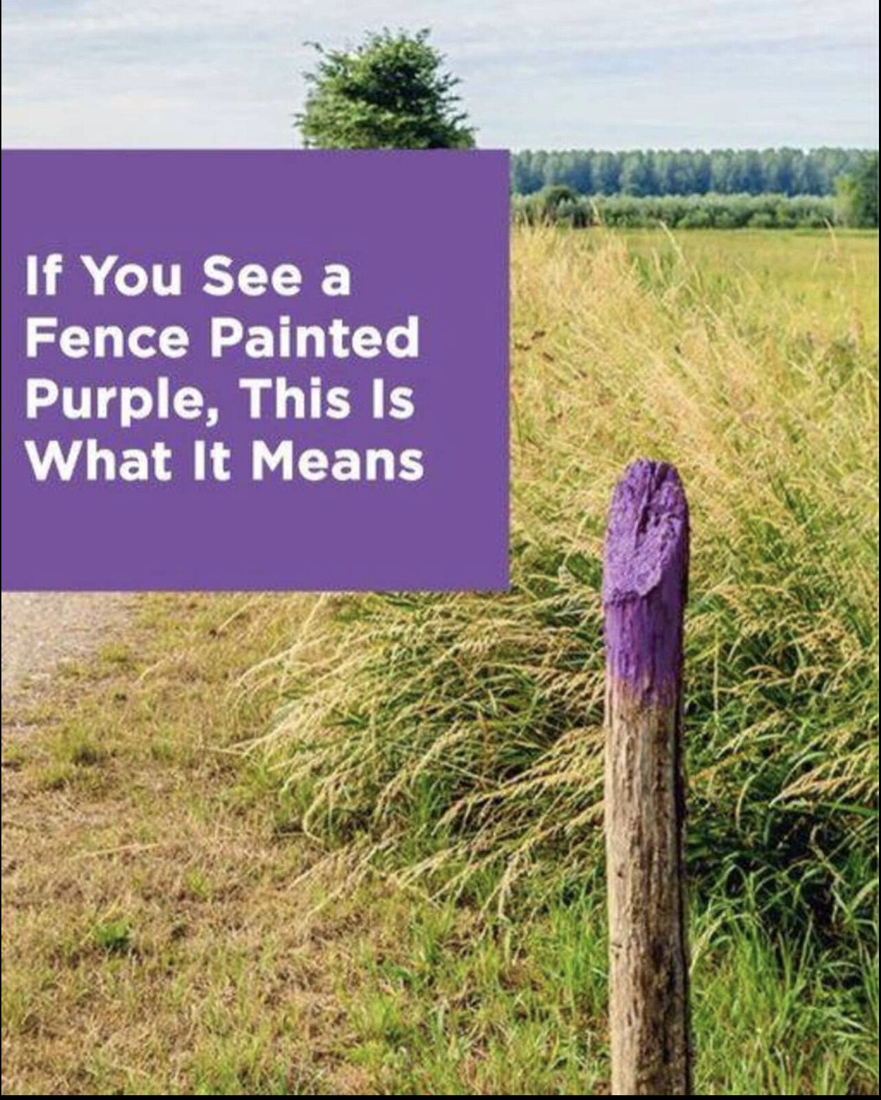 If You See A Fence Painted Purple, You Better Know What It Means ...