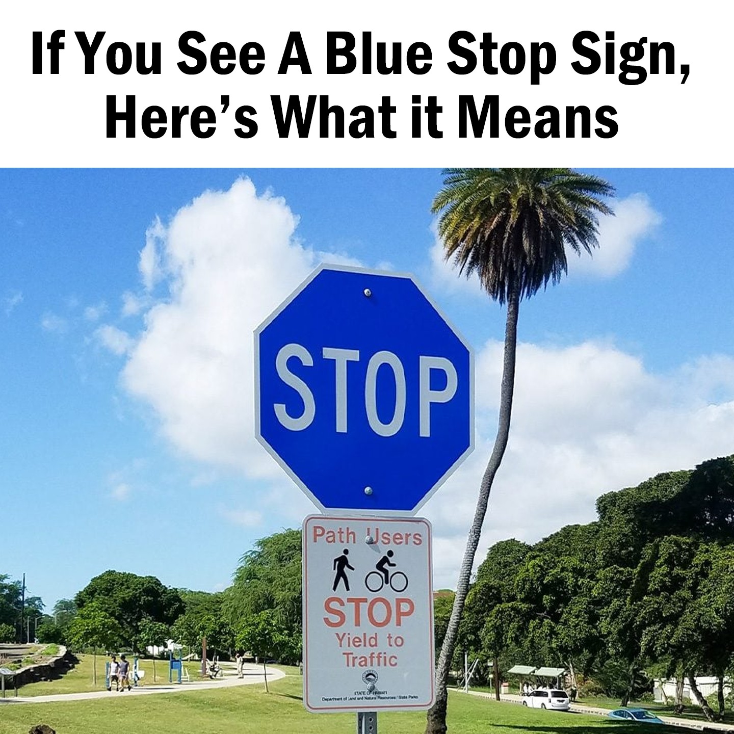 What Does a Blue Stop Sign Mean?