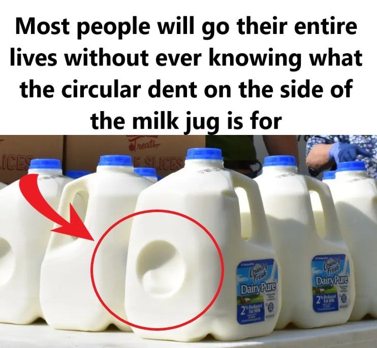 The Hidden Genius of Milk Jug Design: Exploring the Purpose of the ...