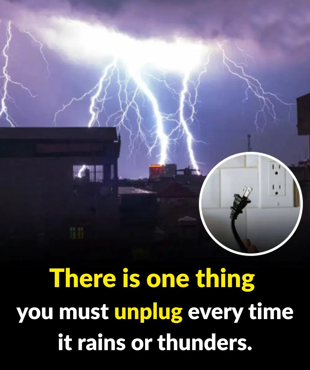 One Device You Need to Unplug Before a Storm